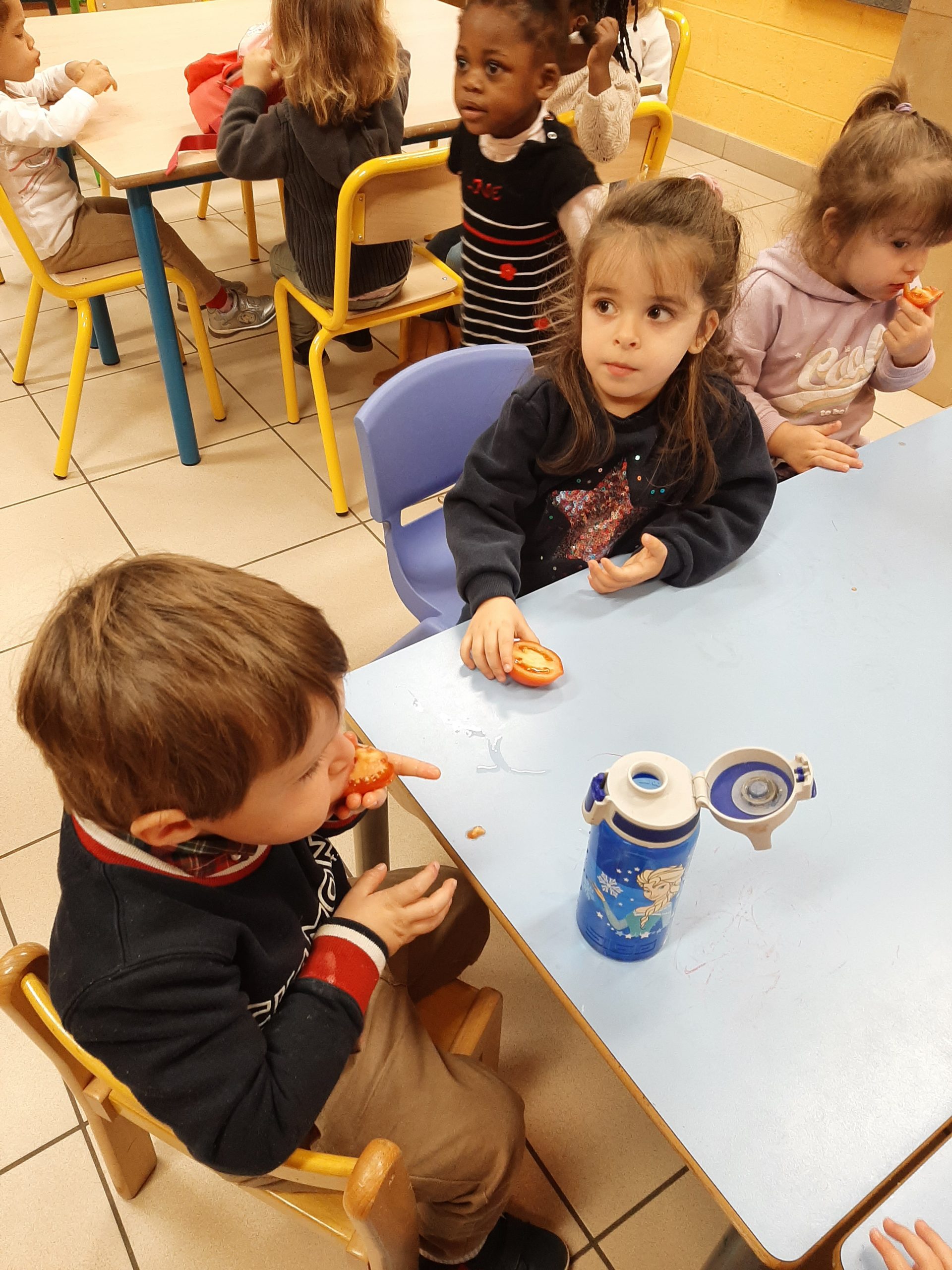 Projet « Fruits et légumes à l’école » – Ecole Parc Malou-Robert Maistriau